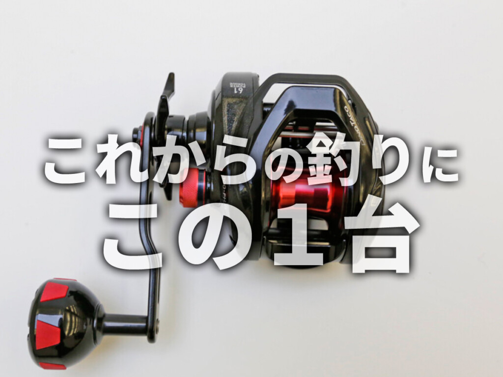 船タコ、近海青物、根魚狙いにも使えるタフさで22,000円ってマジ